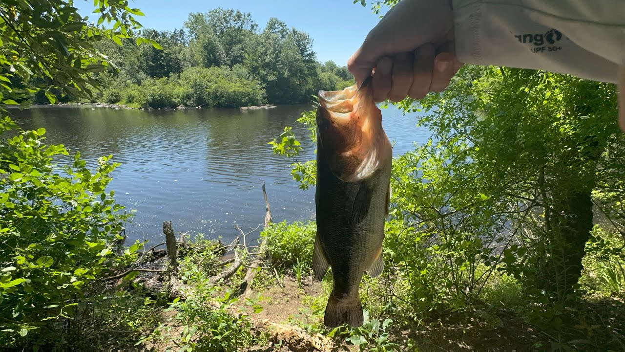 Horn Pond - Bass Fishing #1 - YouTube