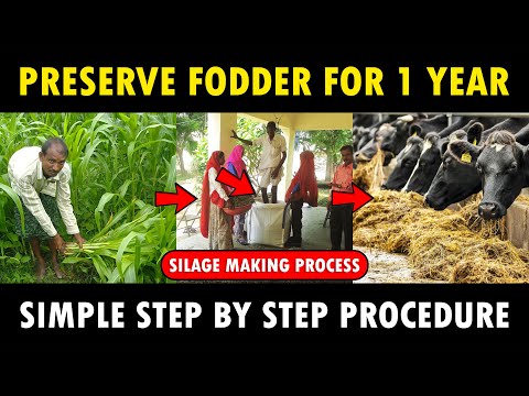 What Is Soilage In Agriculture