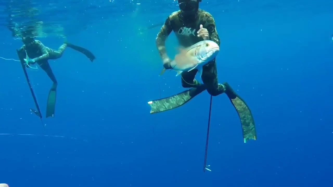 Hawaii spearfishing episode 2 : "blessed weekend" - YouTube
