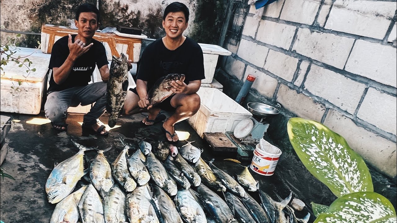 Musim Ikan telah Tiba - Golden spotted Queenfish Panen raya Probolinggo ...