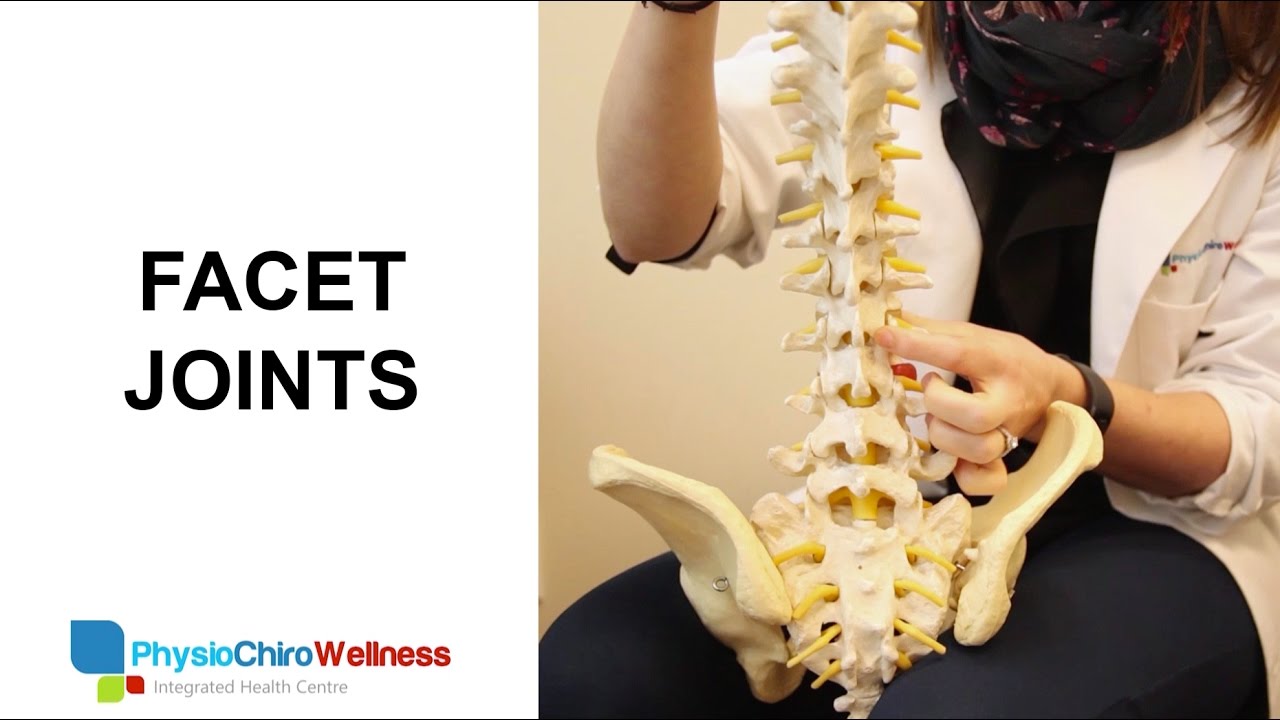 What are Facet Joints? #ExplainMyPain PhysioChiroWellness - YouTube