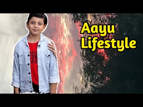 Aayu Lifestyle,Youtube,Age,Food,Study - YouTube
