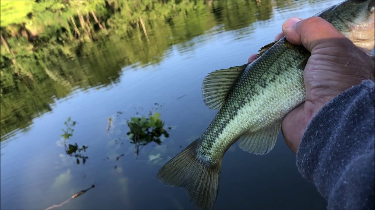 Bass Fishing with Joey! - YouTube