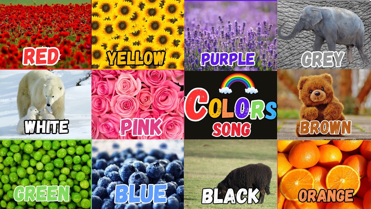 This is Red the Colour Red | Color Song for Kids | Nursery Rhymes and ...