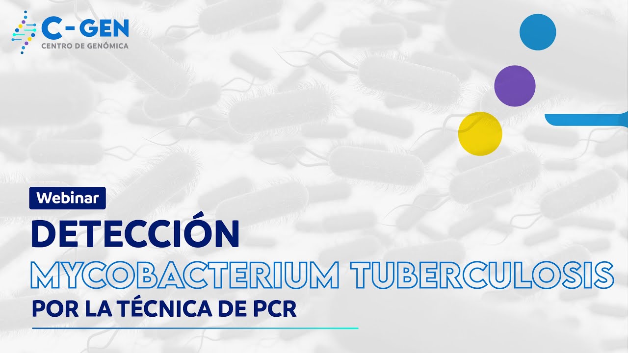 Webinar Detección Mycobacterium Tuberculosis por la Técnica PCR - YouTube
