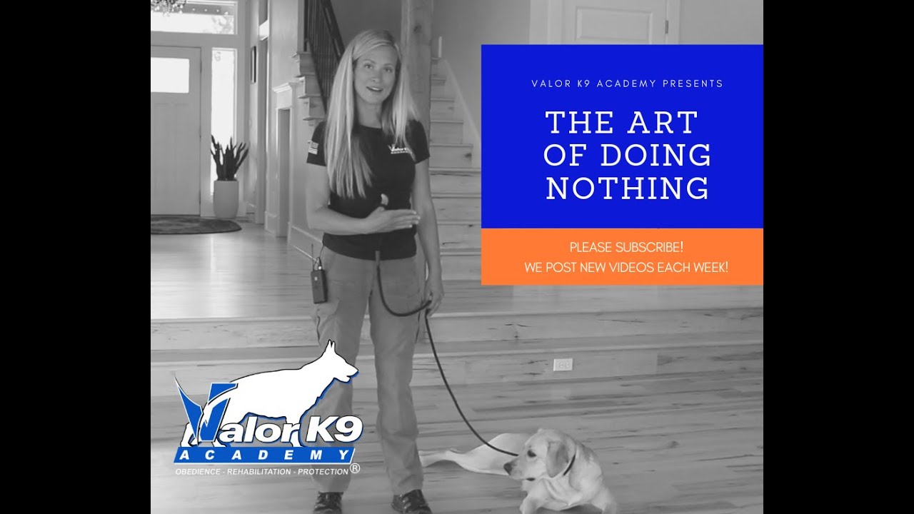 The Art of Doing Nothing | Amy Pishner | Valor K9 Academy - YouTube