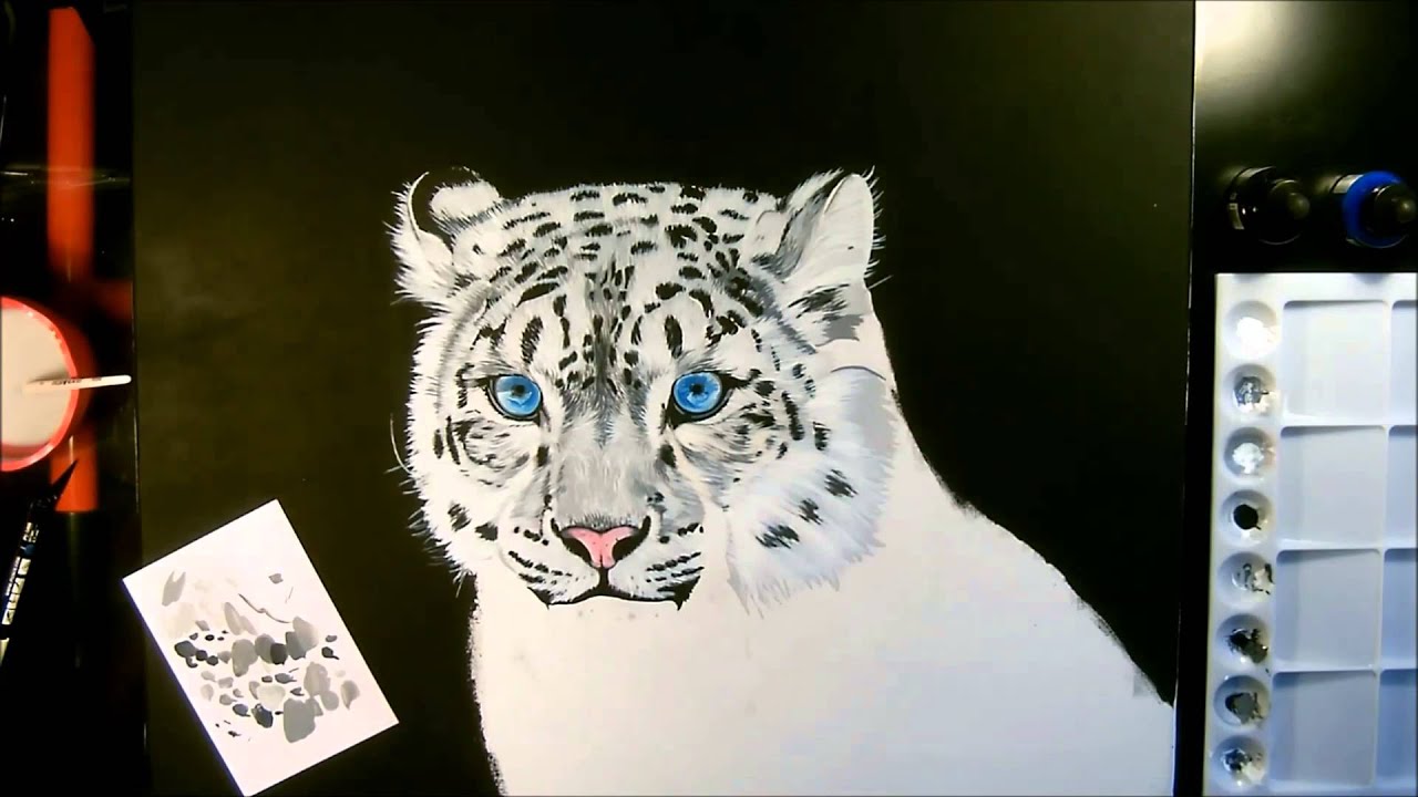 Speed drawing snow léopard acrylic ink - YouTube