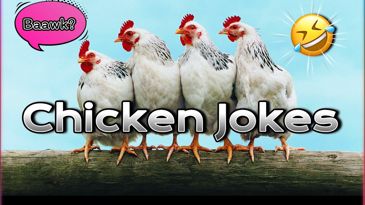 Today’s Chicken Joke (27/02/25) - YouTube