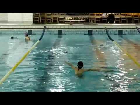 LINE_MOVIE_1567241843570.mp4 - YouTube