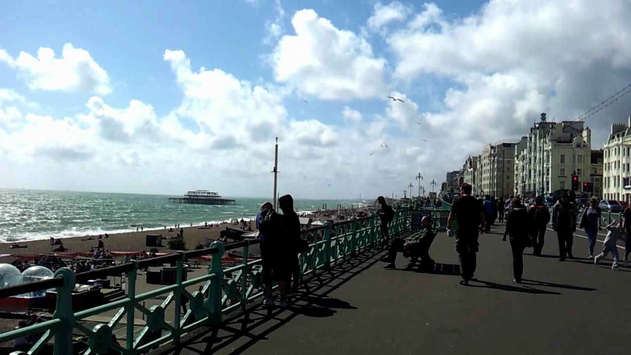 Seagull Invasion Brighton (HD) - YouTube
