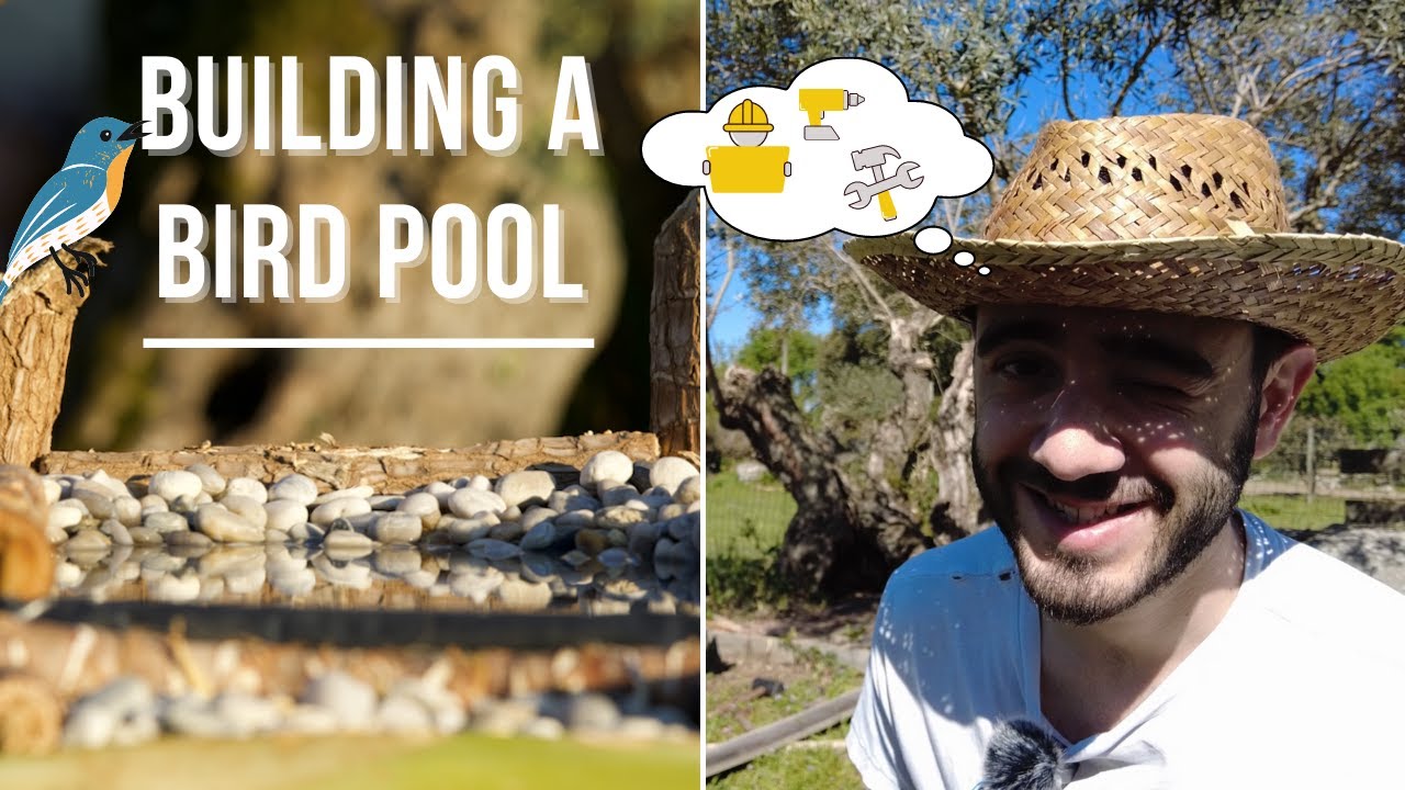 Building a Bird Hide & Bird Pool Vlog | Inspire Wilderness - YouTube