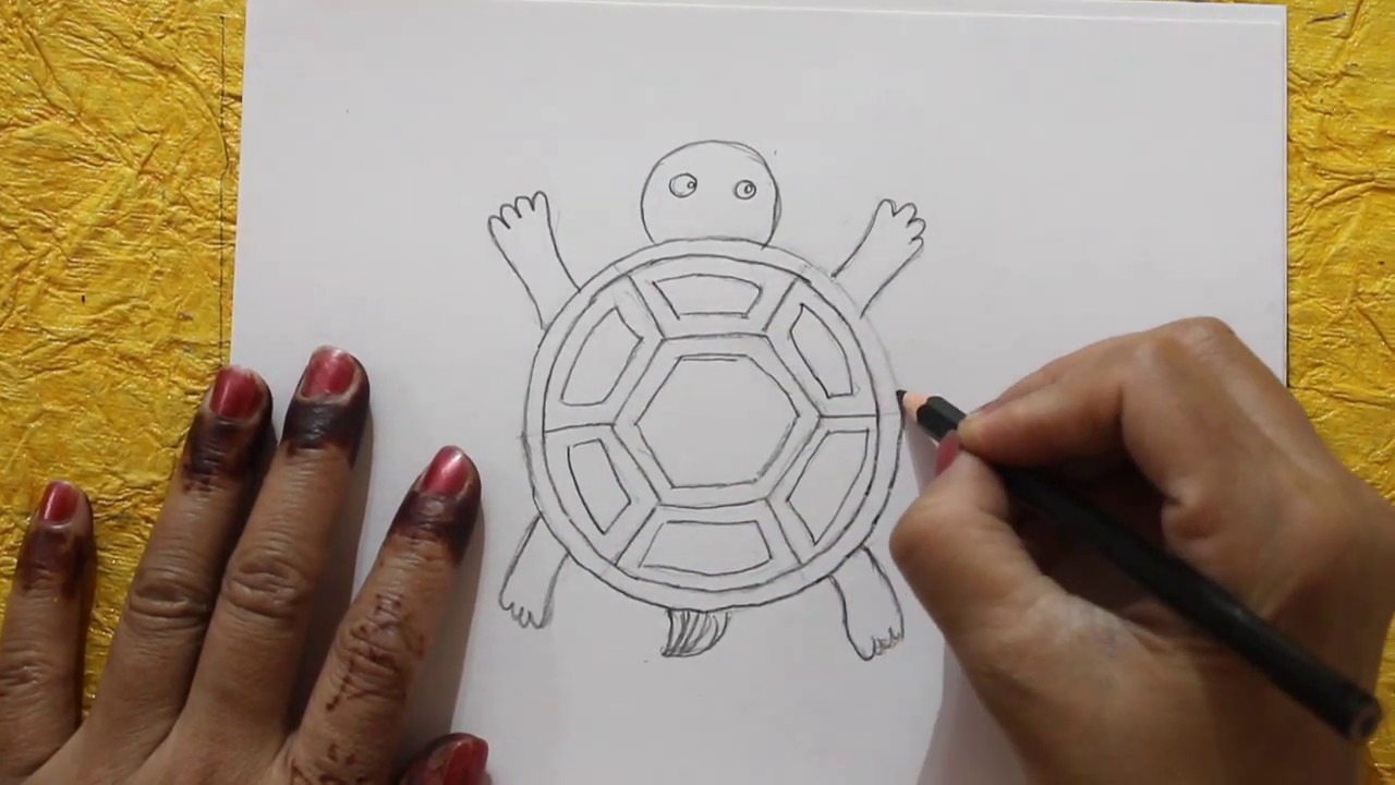 How to draw a tortoise super easy for kids easy tortoise sketch draw ...