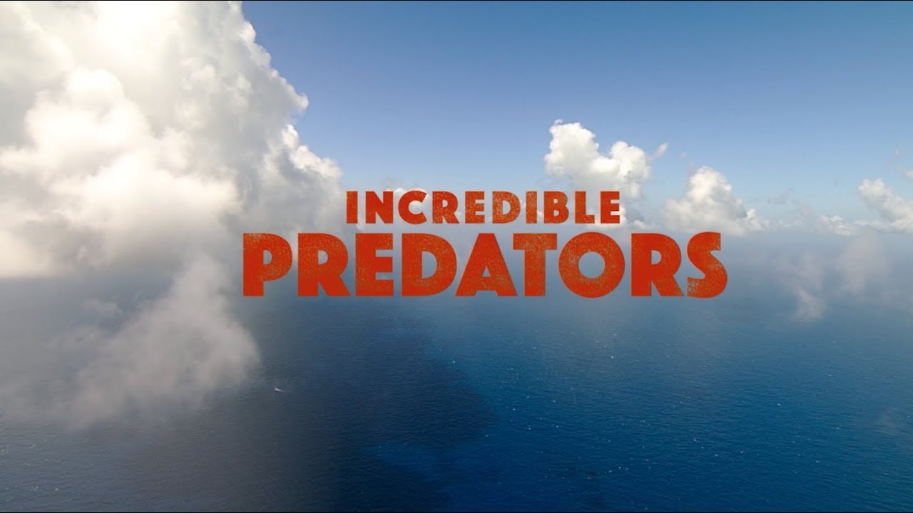 Incredible Predators Trailer - YouTube
