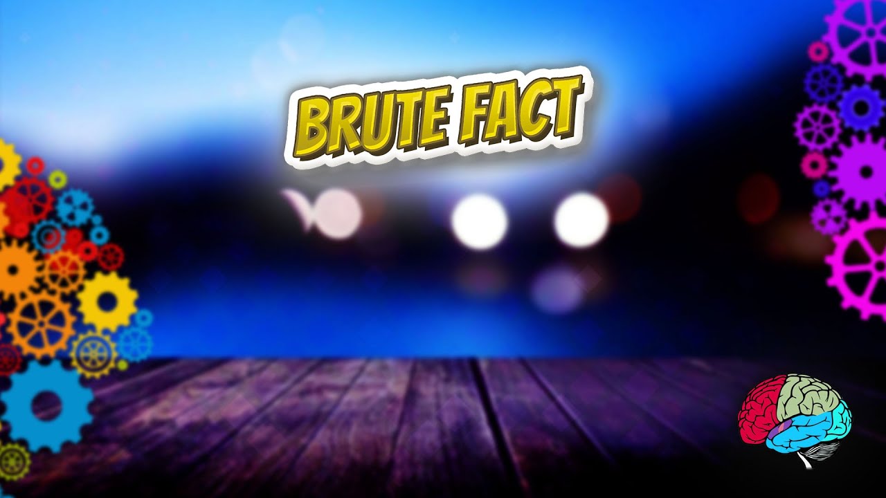 Brute fact - Know It ALL 🔊 - YouTube