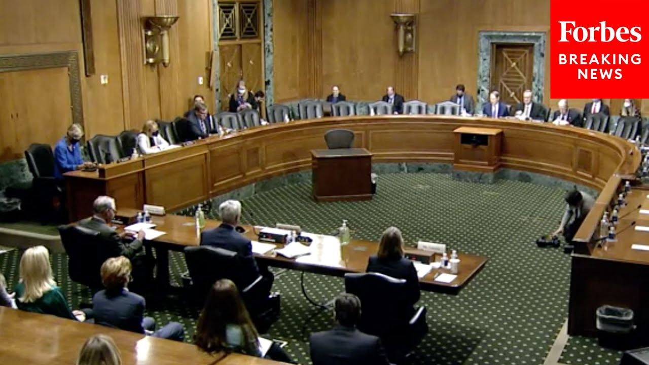 Senate Finance Committee Holds Hearing On Key Biden Nominees - YouTube