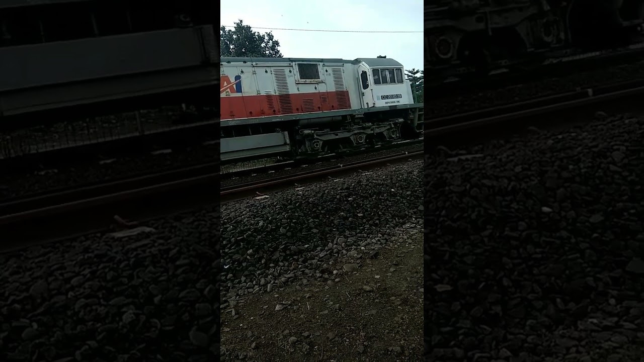 cc201 vs cc206 - YouTube