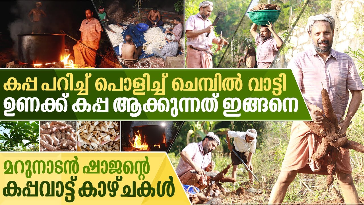 മറുനാടൻ ഷാജന്റെ കപ്പ വാട്ട് കാഴ്ചകൾ I Kappa vattu I Nerum Neriyum Episode- 17 - YouTube