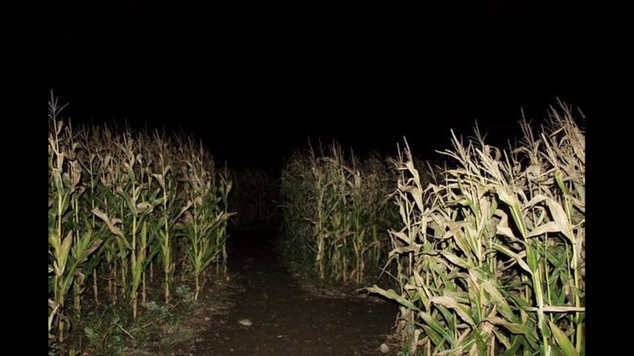 Nyctophobia images with unsettling music (fear of the dark) - YouTube