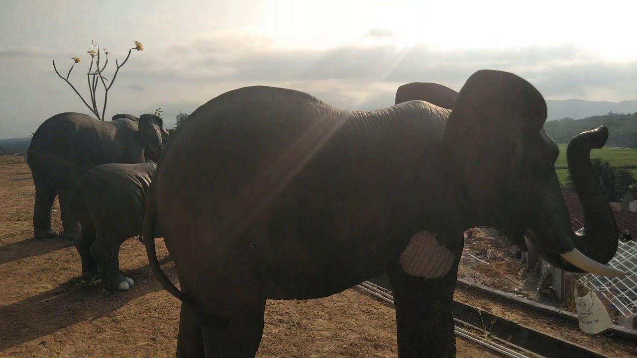 Bukit PANDAWA Godean Sleman Yogyakarta - YouTube