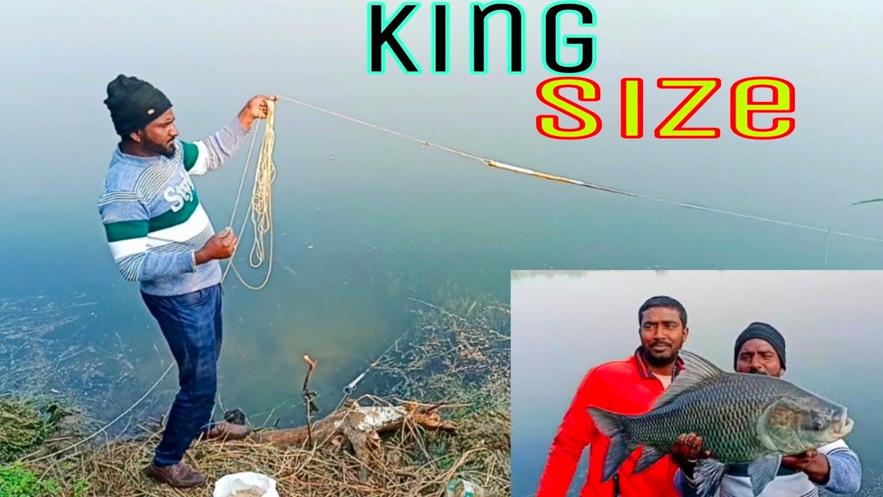 King Size Catla Fish Catching Amazing Fishing Fishermen Fish Hunter ...