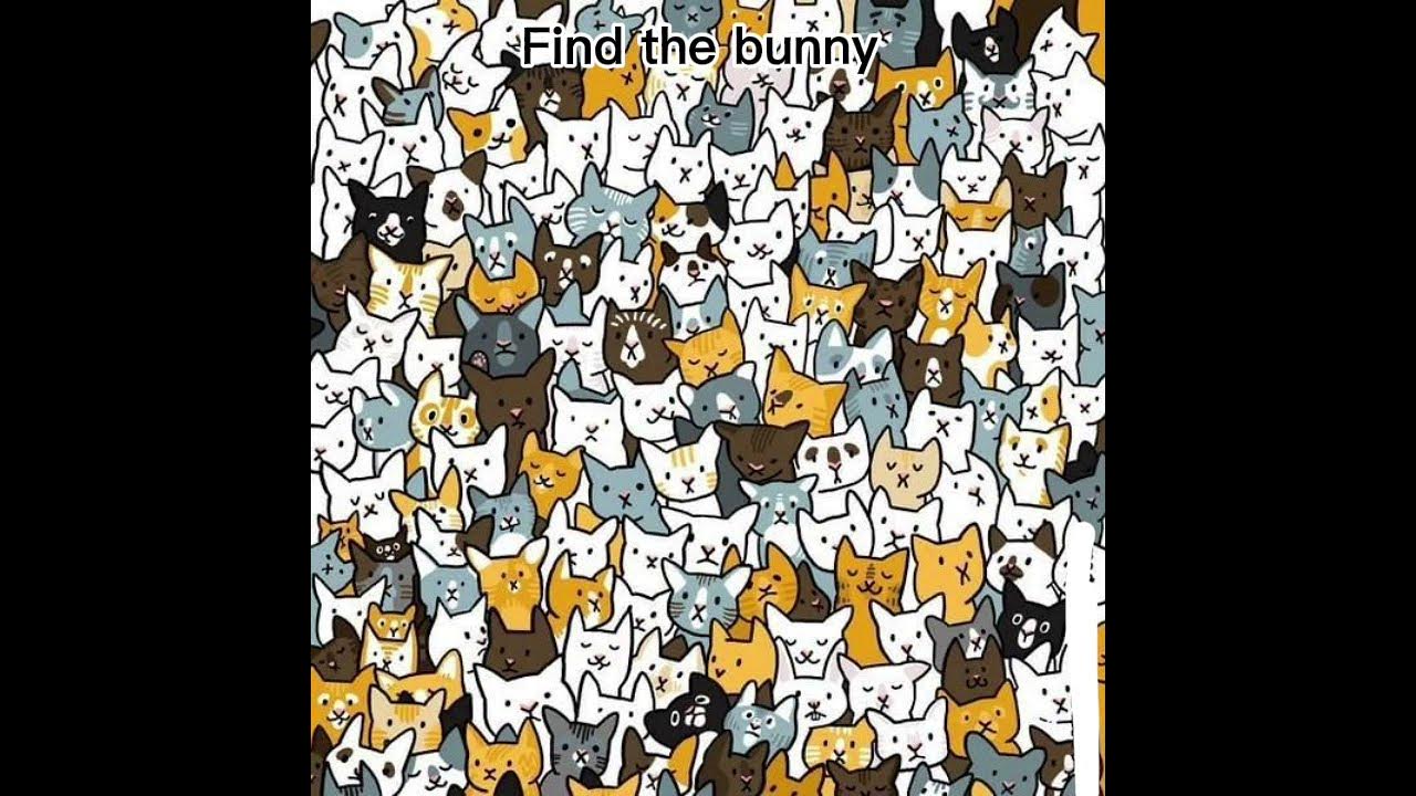 Find the bunny #findthepuzzles - YouTube