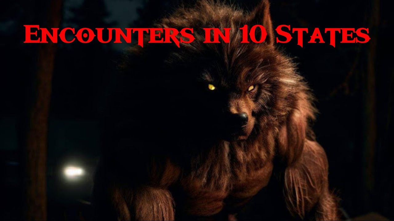 Dogman in the U.S. - Michigan to Minnesota - Encounters in 10 States ...