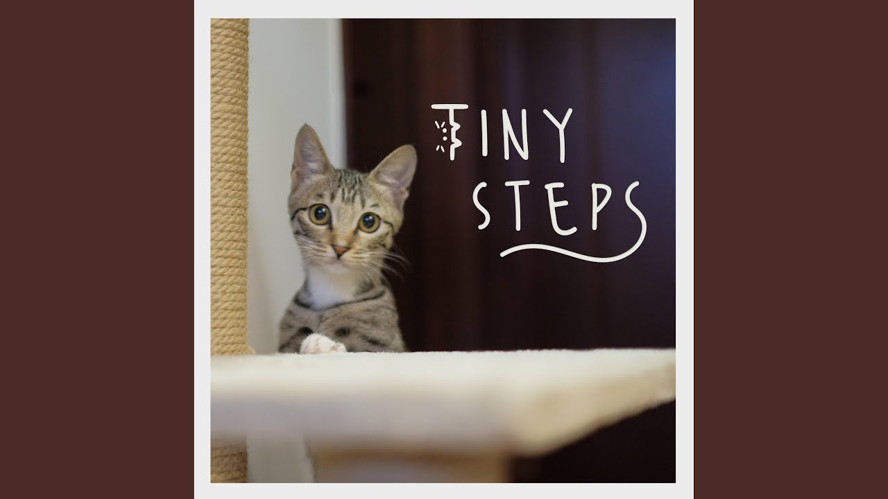 tiny steps - YouTube