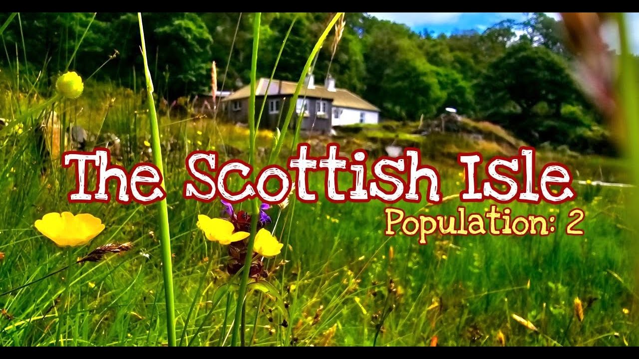 Renovation of the Cottage Floor. New Trench Find! Cottage Restoration ...