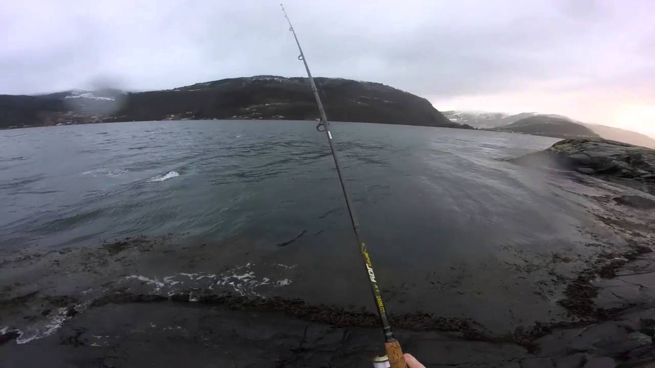 One Man, One Fish - YouTube