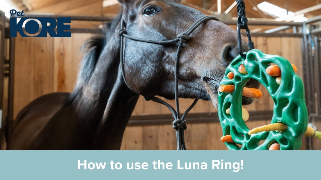 How to Use the Luna® Ring | The Ultimate Equine Enrichment Toy by ...