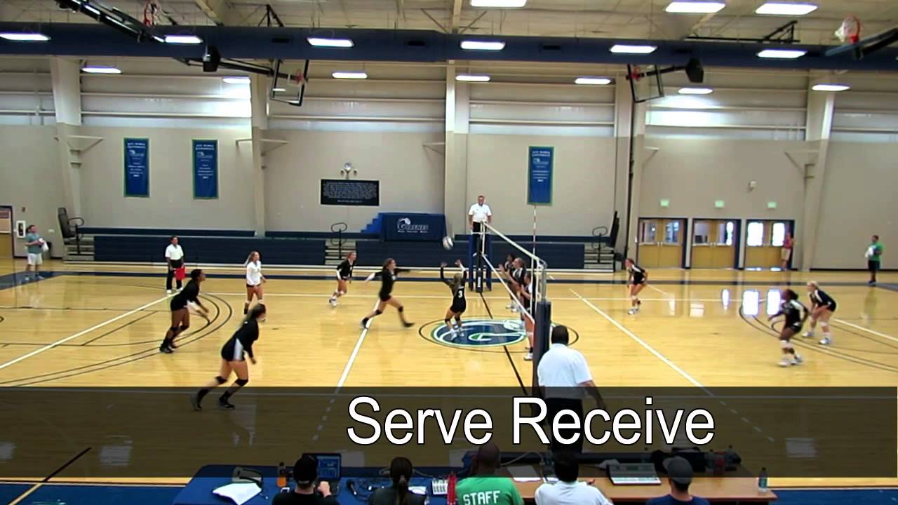 Amanda Medlock 2016 Volleyball Highlights - YouTube