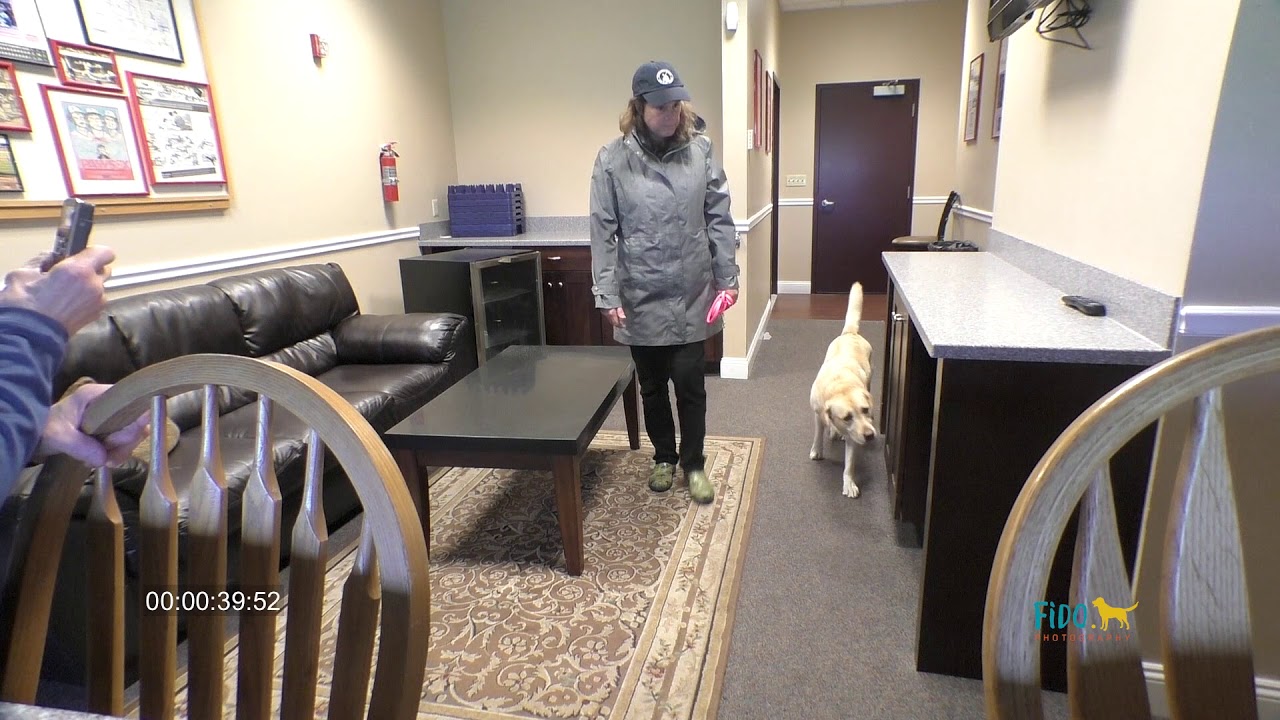 Molly McCoy NW3 I3 Oct18 - YouTube