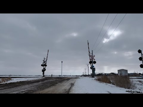 CP 8954 @ Prince of Wales Dr - YouTube