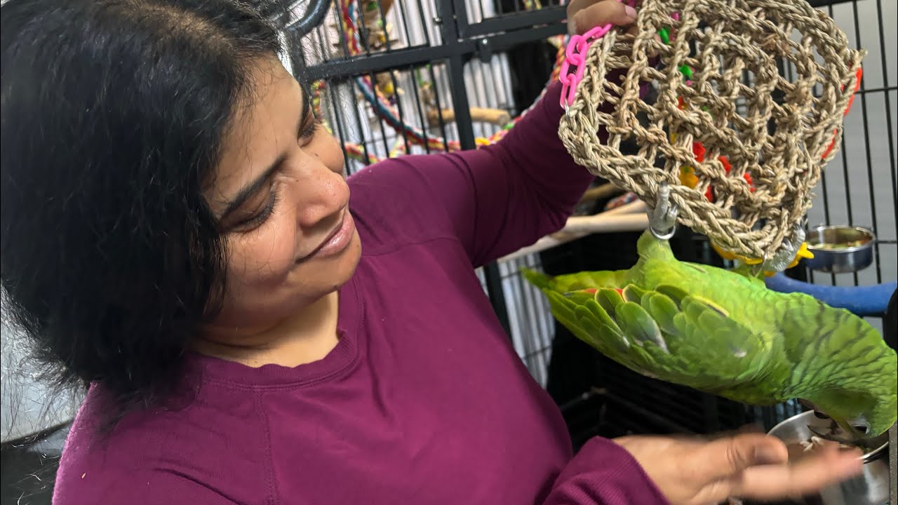 Cute RAI - The cutest Parrot - you will love it - amazon - YouTube