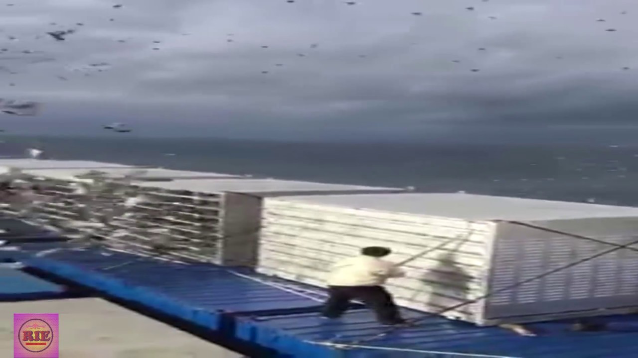 Pigeon Fly Racing Championship -Taiwan - YouTube