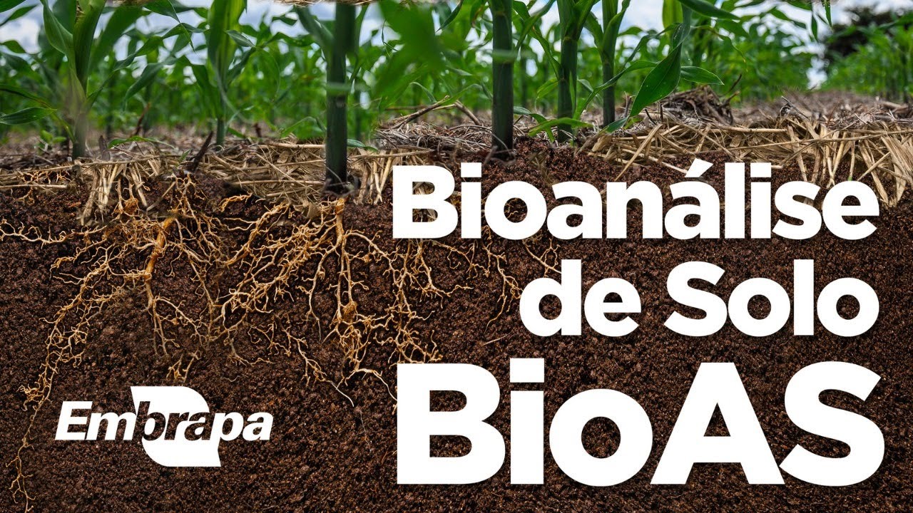 BioAS – Tecnologia de Bioanálise de Solo - YouTube