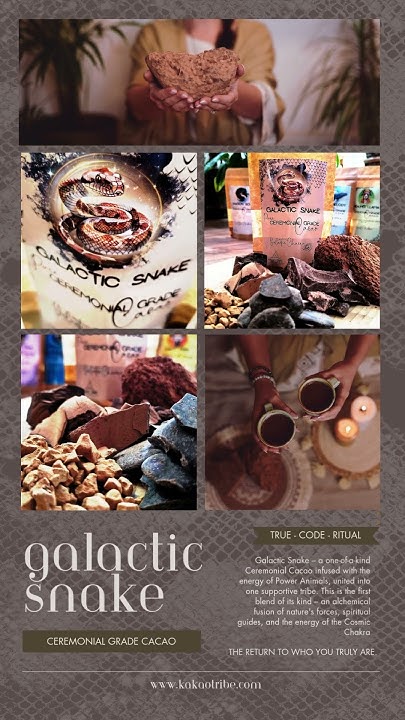 True Code Ritual - Galactic Snake Ceremonial Cacao 🐍🌿 - YouTube