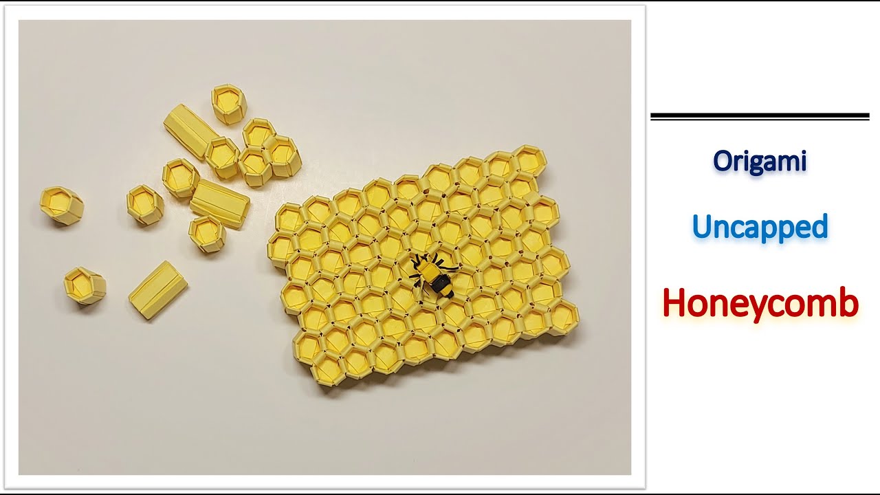 Origami Uncapped Honeycomb with Honey Bee | Origami Bricks and Tiles ...