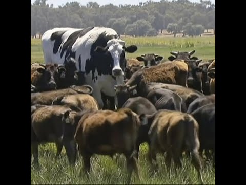 no etherwarp? no problem