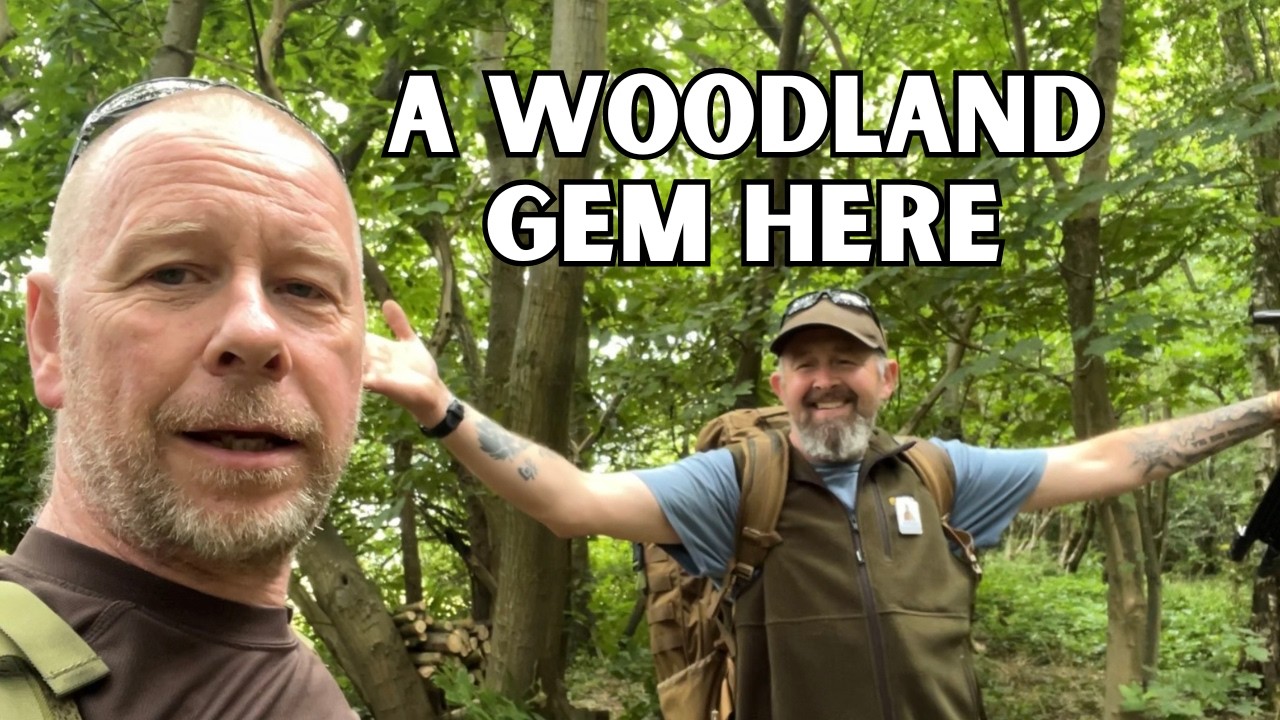 HAMMOCK CAMP In A 12 Acre WOODLAND Owned by Operation Jackdaw - YouTube
