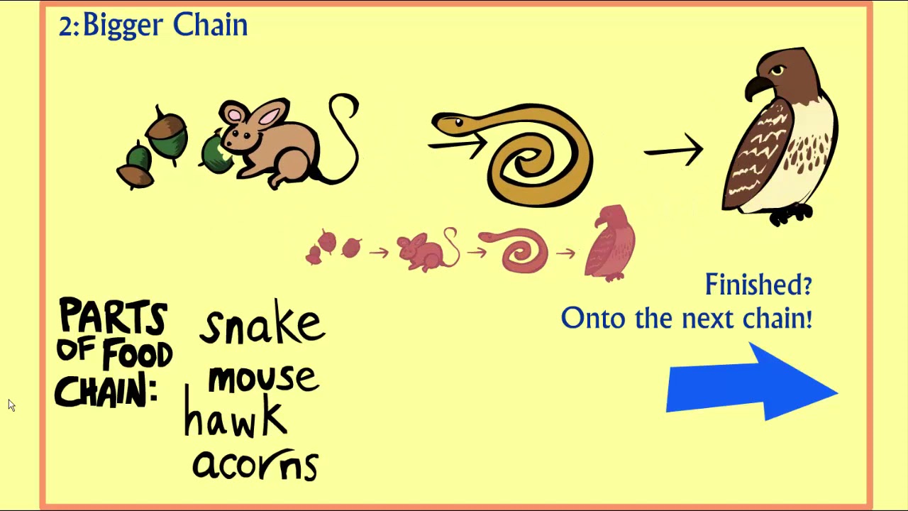 Stuck at home? Time to Learn! Play free and fun educational games ...