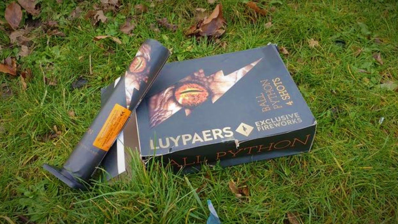 Luypaers Fireworks: Ball Python - YouTube