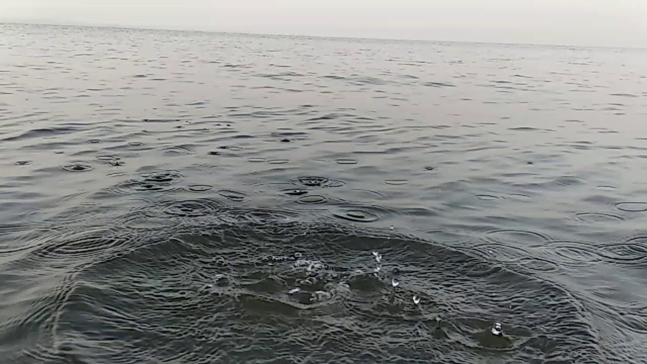 Gunda forest hospet - YouTube