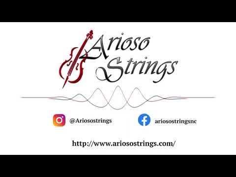 Arioso Strings quartet performs "Kiss The Girl" from The Little Mermaid ...