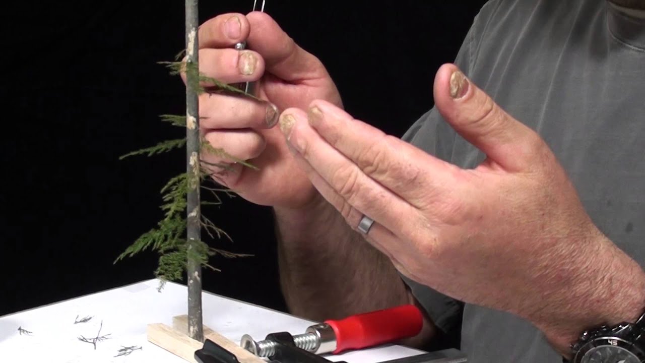 Scenic Factory Distressed Pine Tree Build - YouTube