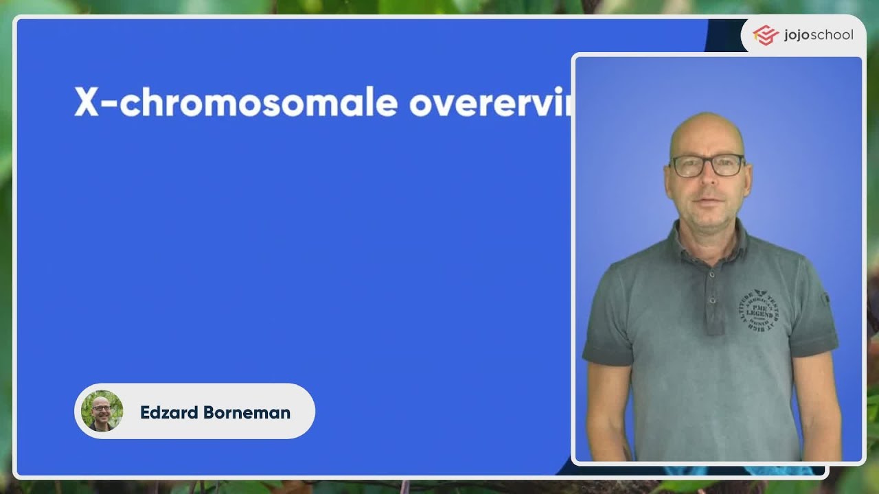 X-chromosomale overerving - Biologie - HAVO & VWO - YouTube