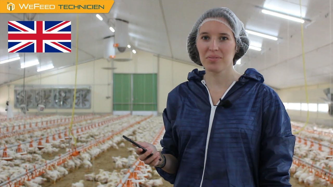 Wefeed Poultry - module technician - YouTube
