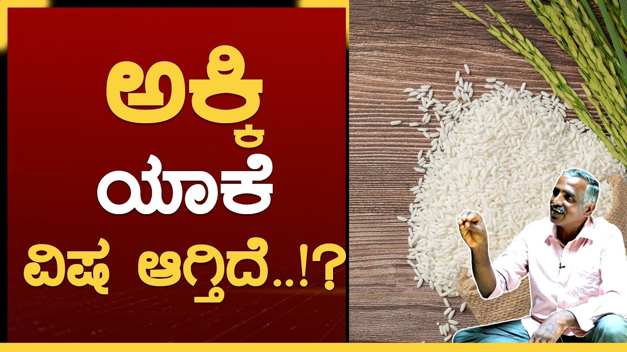 White Rice Slow Poison | Polished Rice | GSS MAADHYAMA - YouTube