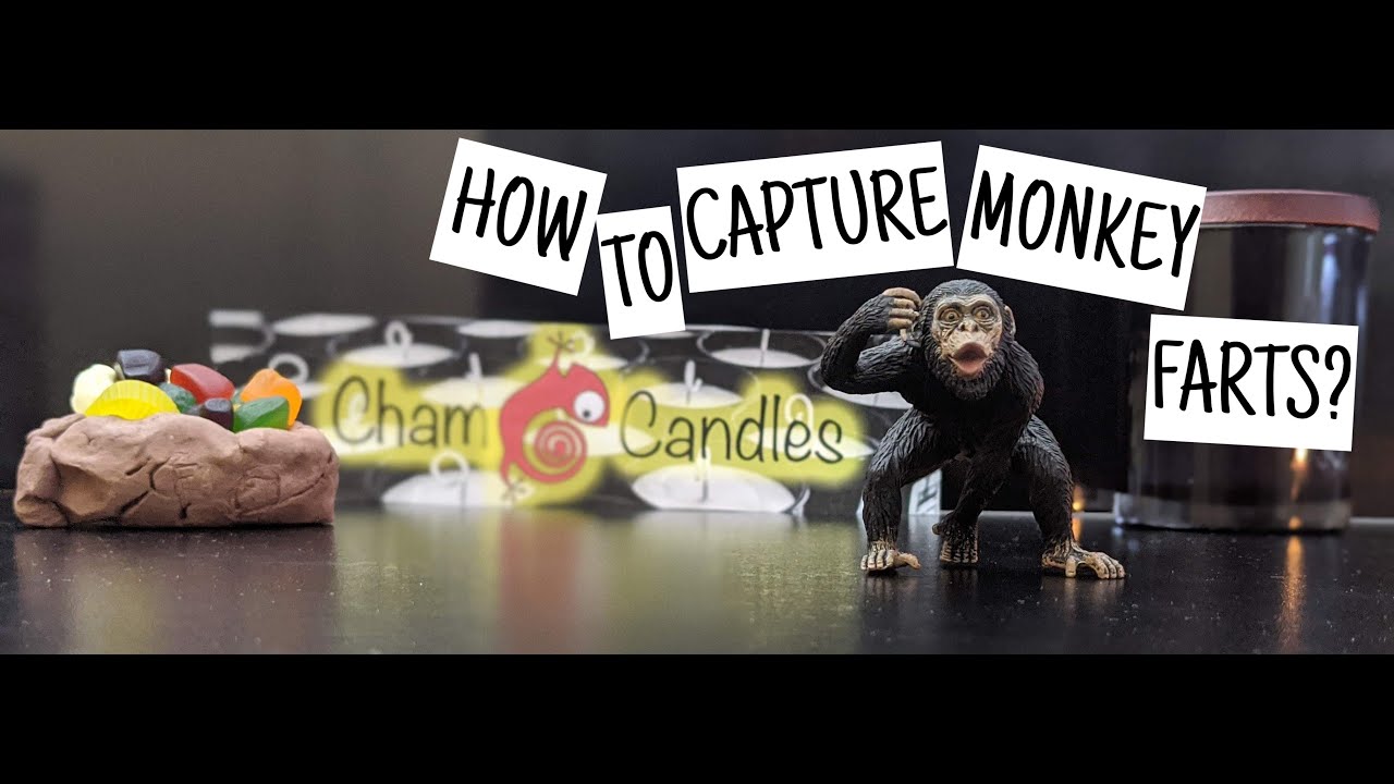 Secret revealed, Monkey Farts | Handmade Vegan | CHAMELEON AROMAS ...