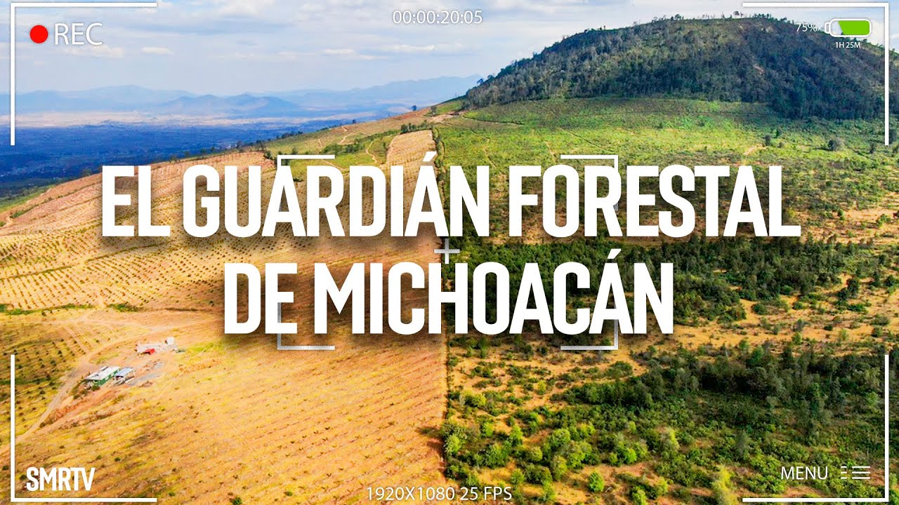 El Guardián Forestal de Michoacán | Investigaciones Michoacán | SMRTV ...